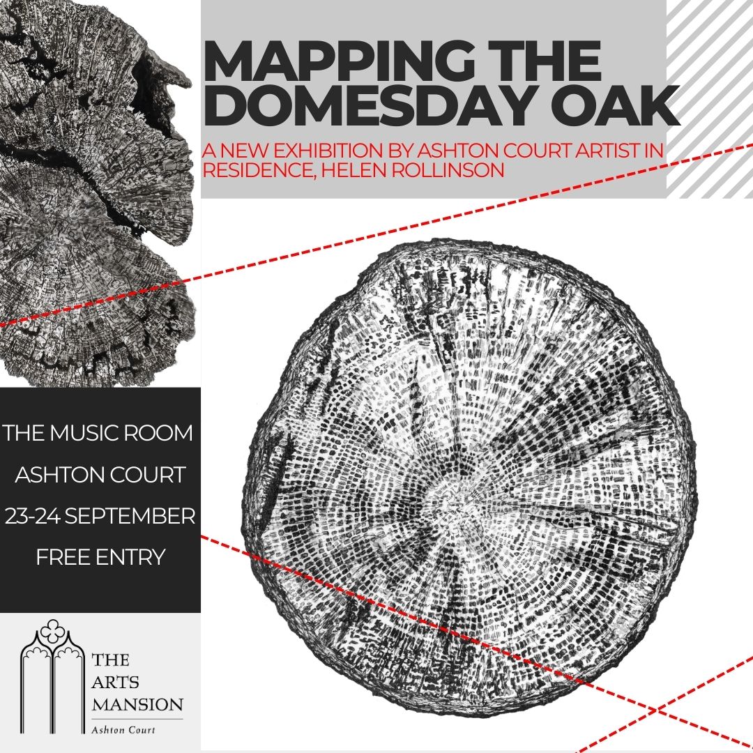MAPPING THE DOOMSDAY OAK - Artspace Lifespace MAPPING THE DOOMSDAY OAK - Artspace Lifespace